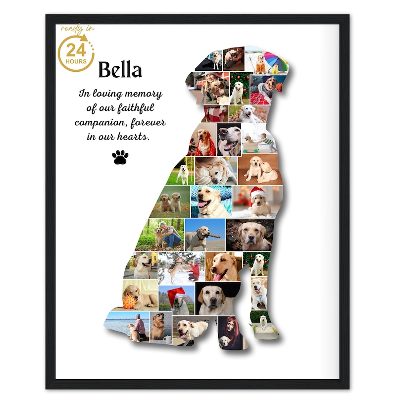 Dog Photo Collage - Etsy