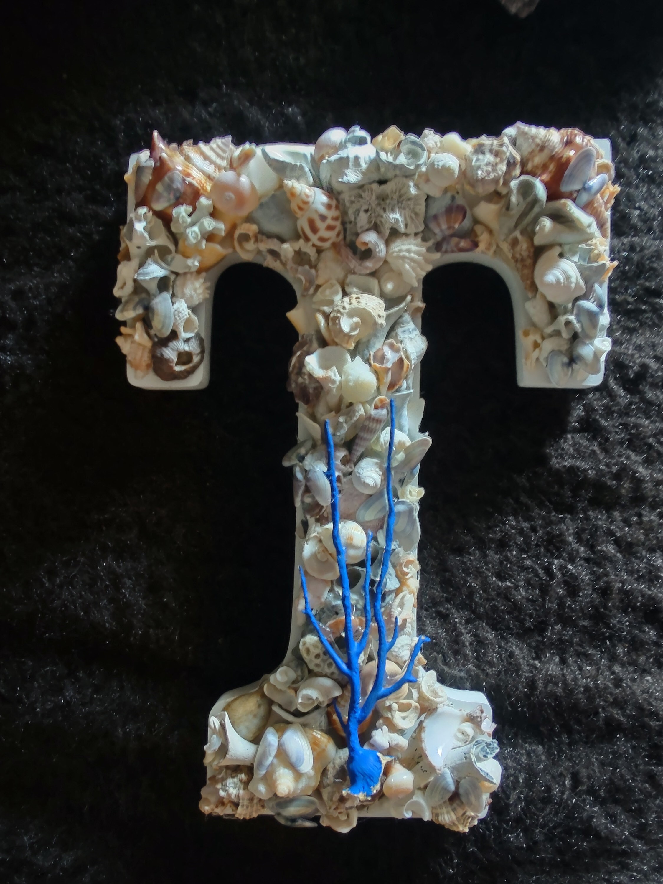 Shell Letter T - Etsy