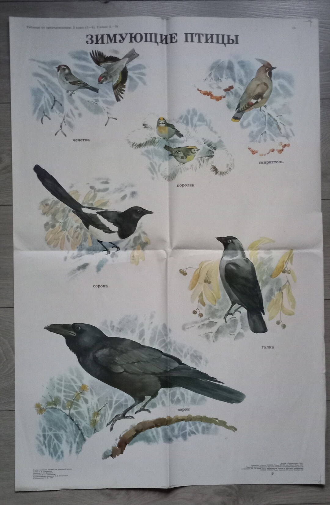 Original Vintage Soviet Ecological Poster Environment Safety Greenpeace ...