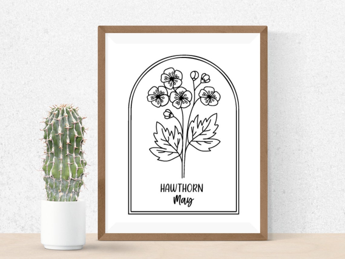 May Birth Month Flower SVG | Birth Flower Svg | Wildflower Svg | Birth ...