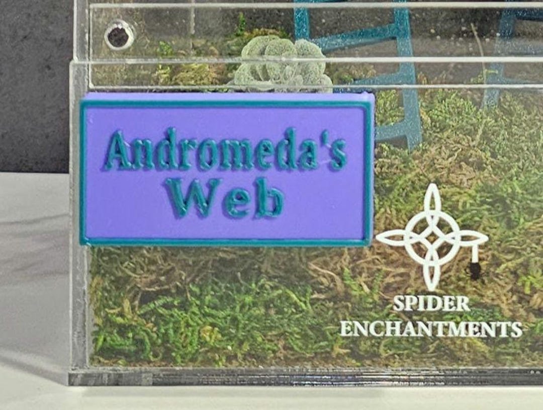 Small, Magnetic,2 Personalized 3D Printed Name Sign for Jumping Spiders ...