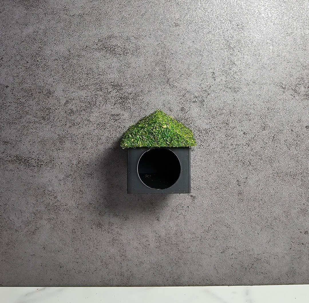 Magnetic Moss Cottage/house Hide for Jumping Spiders - Etsy