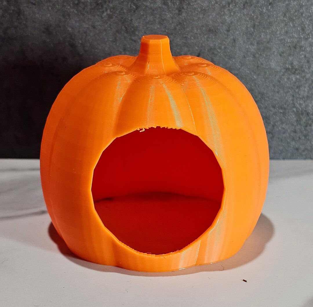 Fall Pumpkin Hide for Terrestrial Velvet Spiders or Tarantula Slings ...