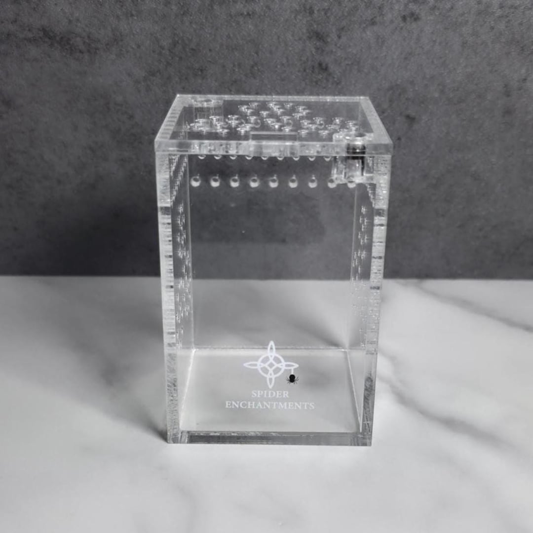 Spiderling Enclosure - for Velvet Spiders and Tarantulas! (web Haven) 2 ...