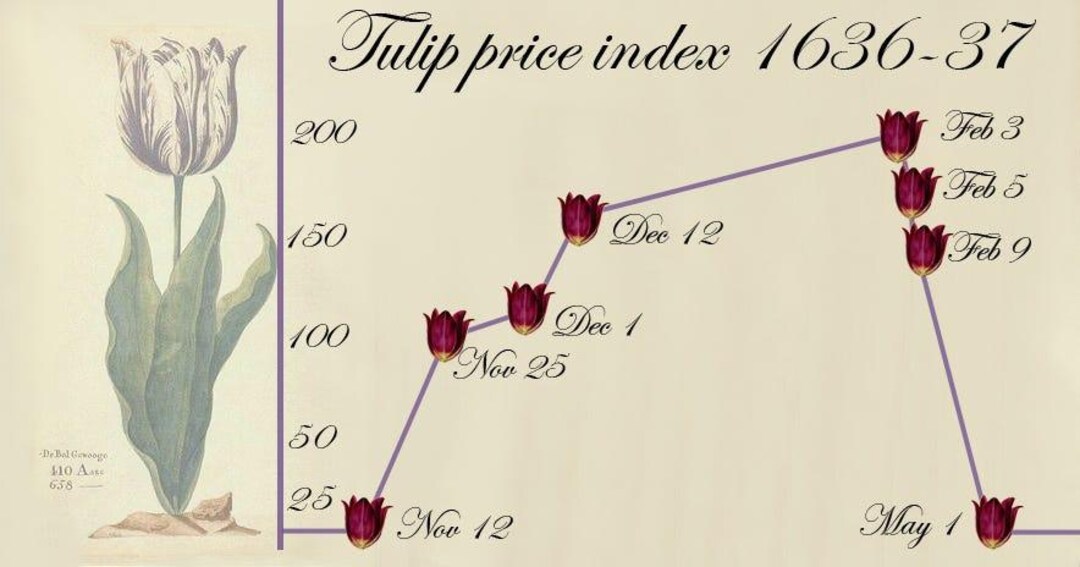 Tulip Mania Stock Market Art Finance Gift Stock Trading Infographic ...