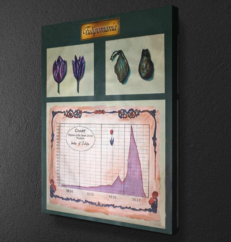 Tulip Mania Stock Market Art Finance Gift Stock Trading Infographic ...