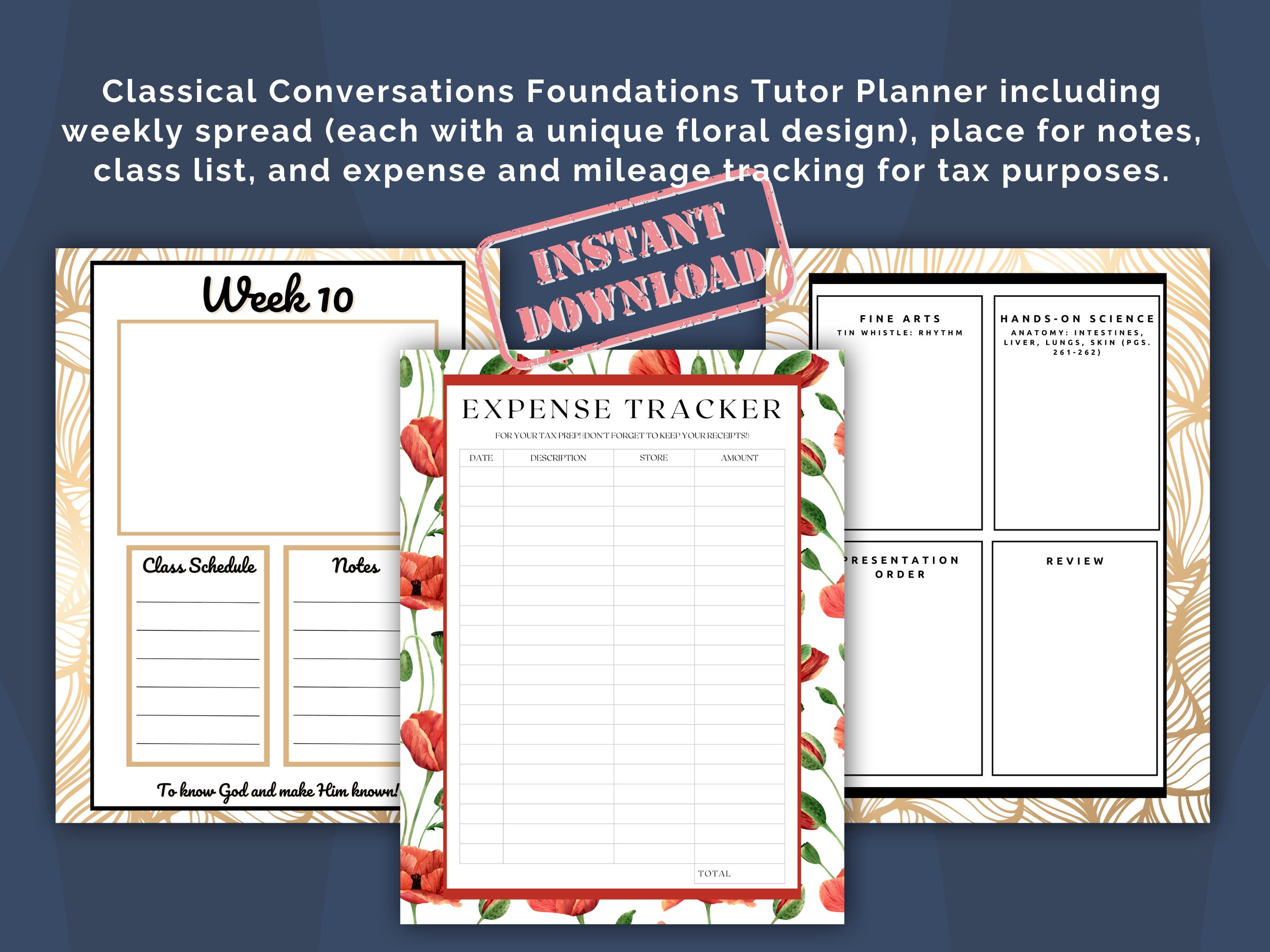 Classical Conversations Instant Download Foundations Tutor - Etsy