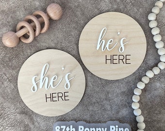 Shes Here or He's Here Announcement Plaque Newborn Photo Shoot Newborn ...