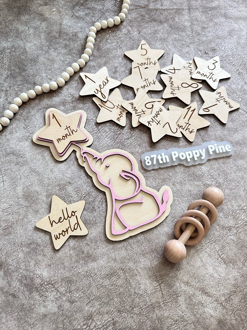 Baby Elephant Monthly Milestone Tags, Birth Announcement Sign, Baby ...