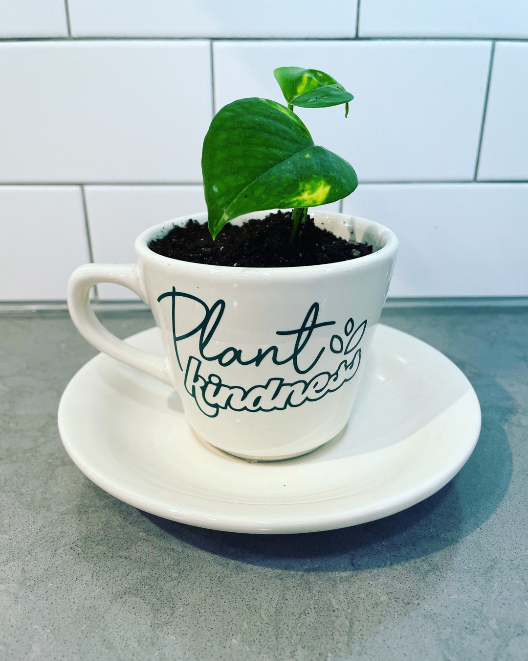 Plant Kindness Coffee Cup Planter - Etsy