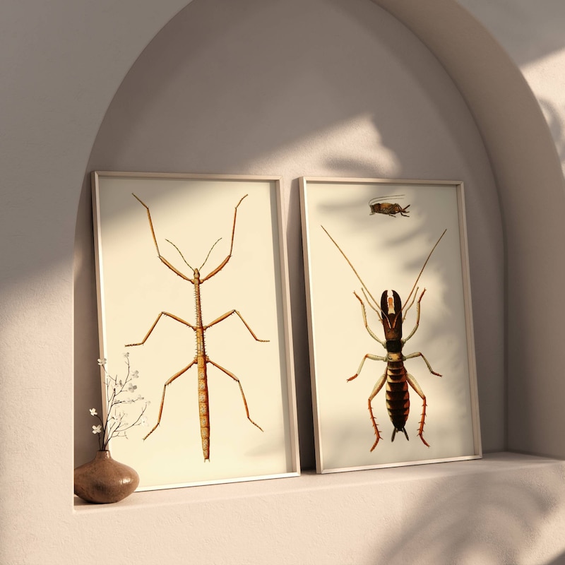 Stick on Wall Art - Etsy