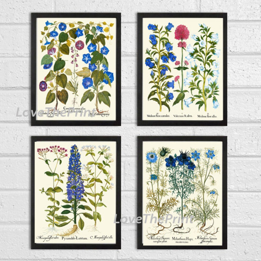 Blue Wildflowers Botanical Wall Art Set of 4 Prints Beautiful Vintage ...
