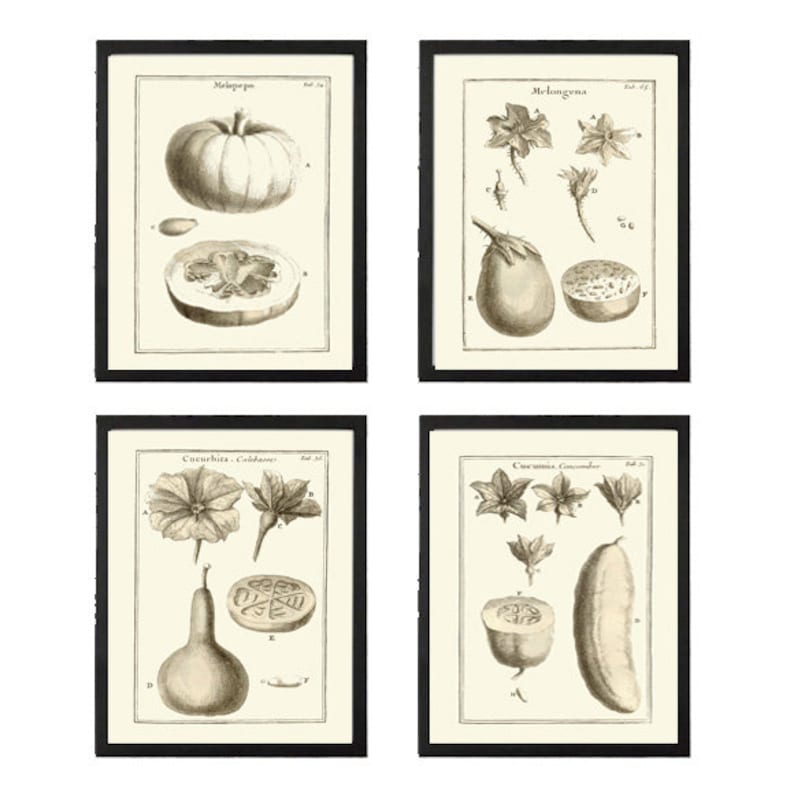 Botanical Prints Vegetables Wall Art Set 4 Prints Beautiful Antique ...
