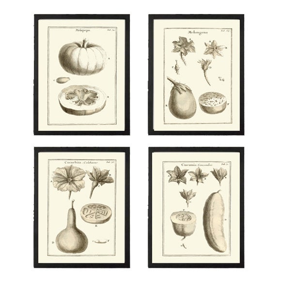 Botanical Prints Vegetables Wall Art Set 4 Prints Beautiful Antique ...