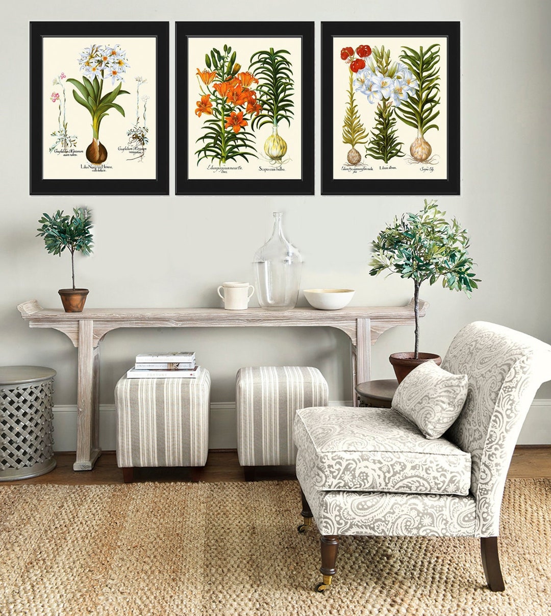 Lily Lilies Flower Botanical Prints Wall Art Set of 3 Beautiful Antique ...