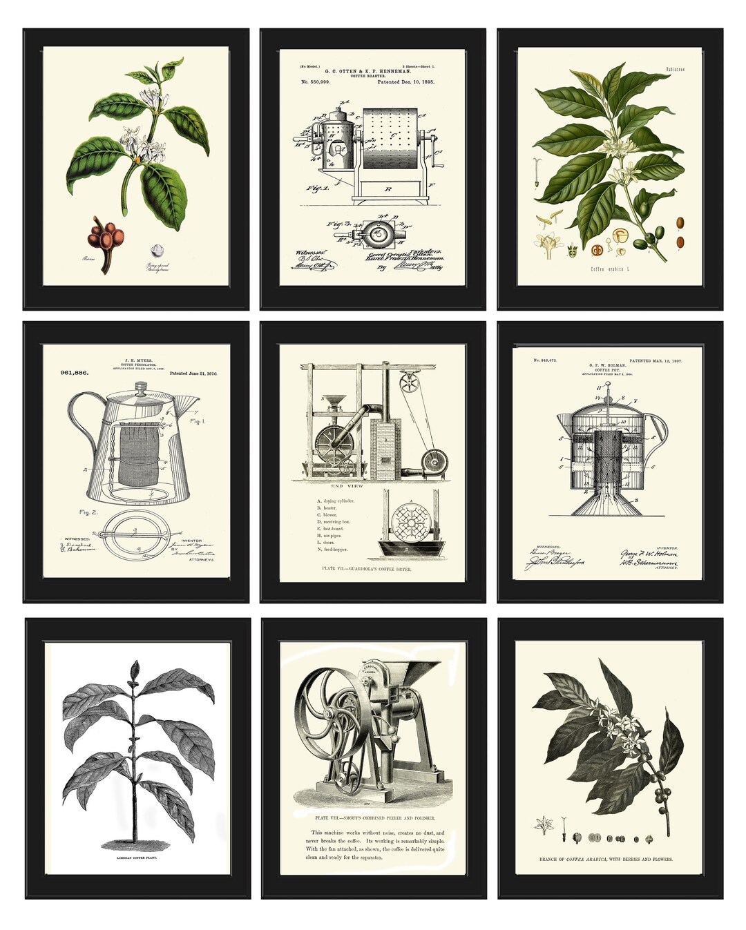 Coffee Prints Sign Patents Botanical Wall Art Set of 9 Beautiful ...
