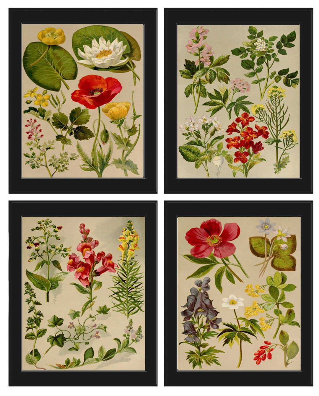 Wildflower Botanical Prints Wall Art Set of 4 Beautiful Antique Vintage ...