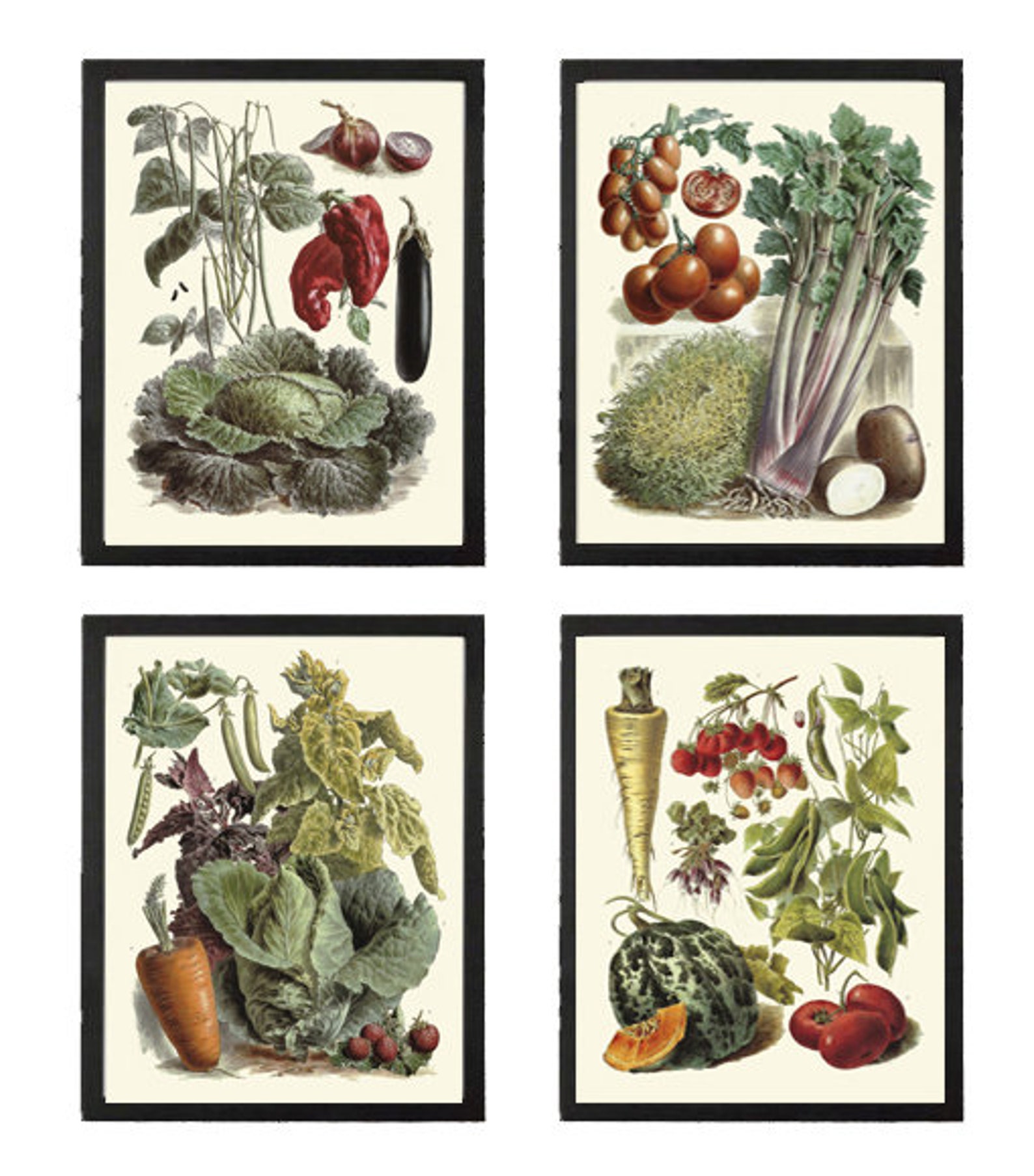 Vintage Vegetable Garden Wall Art Set of 4 Prints Beautiful Antique ...