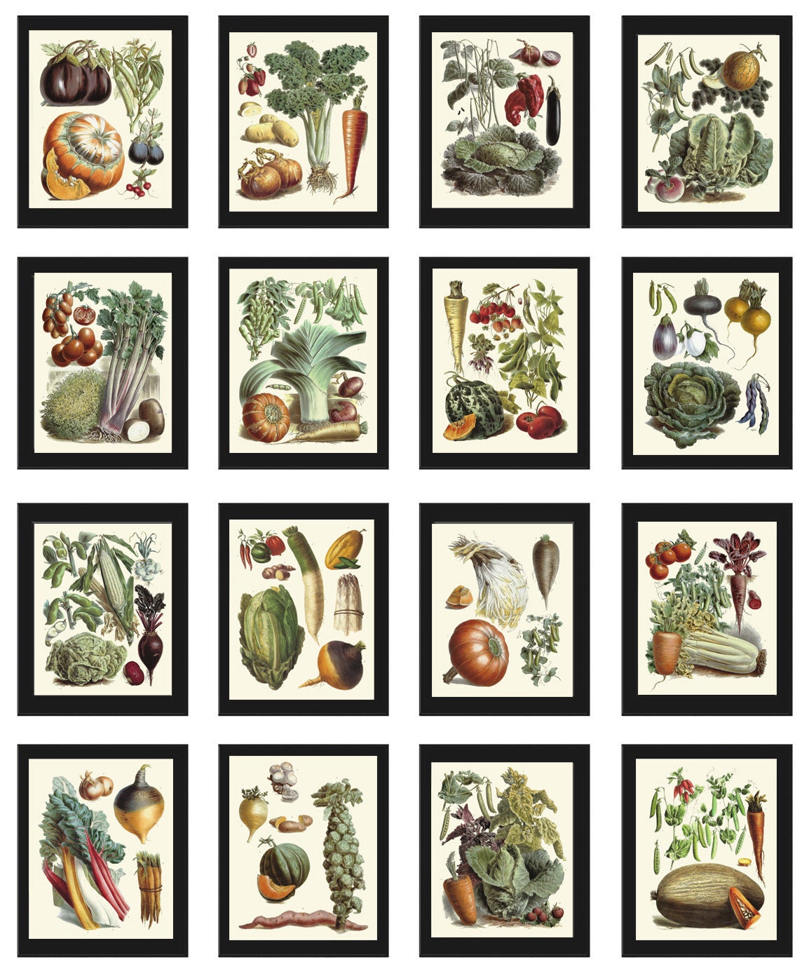 Vintage Vegetable Print Botanical Wall Art Set of 16 Beautiful Antique ...