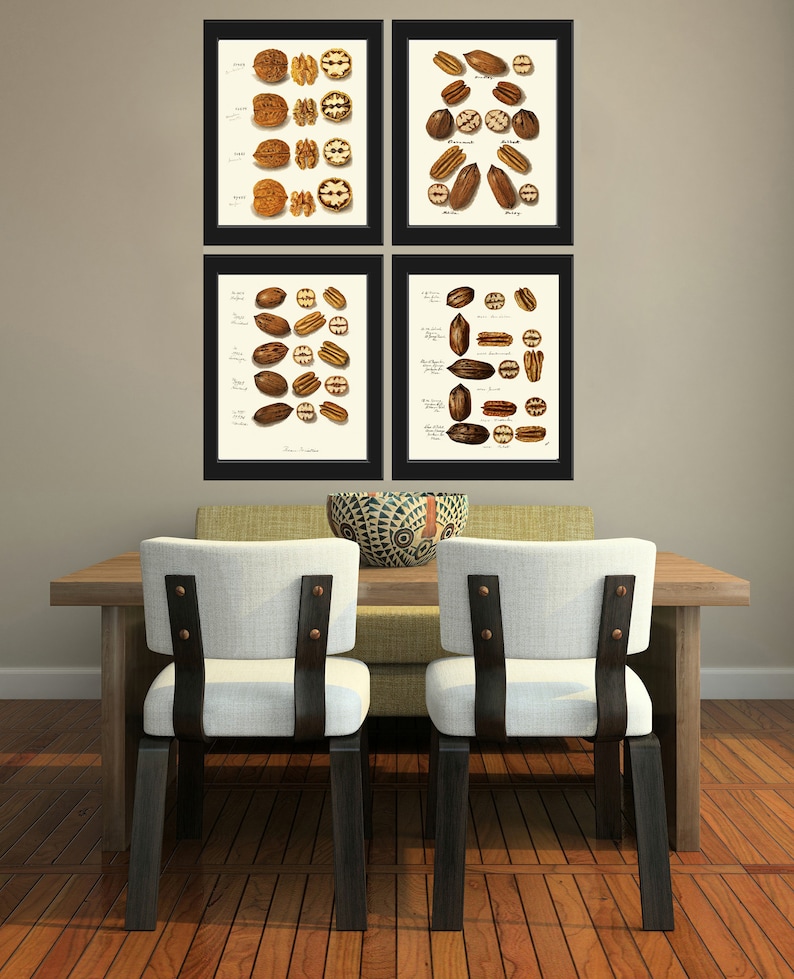 Pecan Walnut Nut Wall Decor Art Prints Set of 4 Beautiful Antique ...