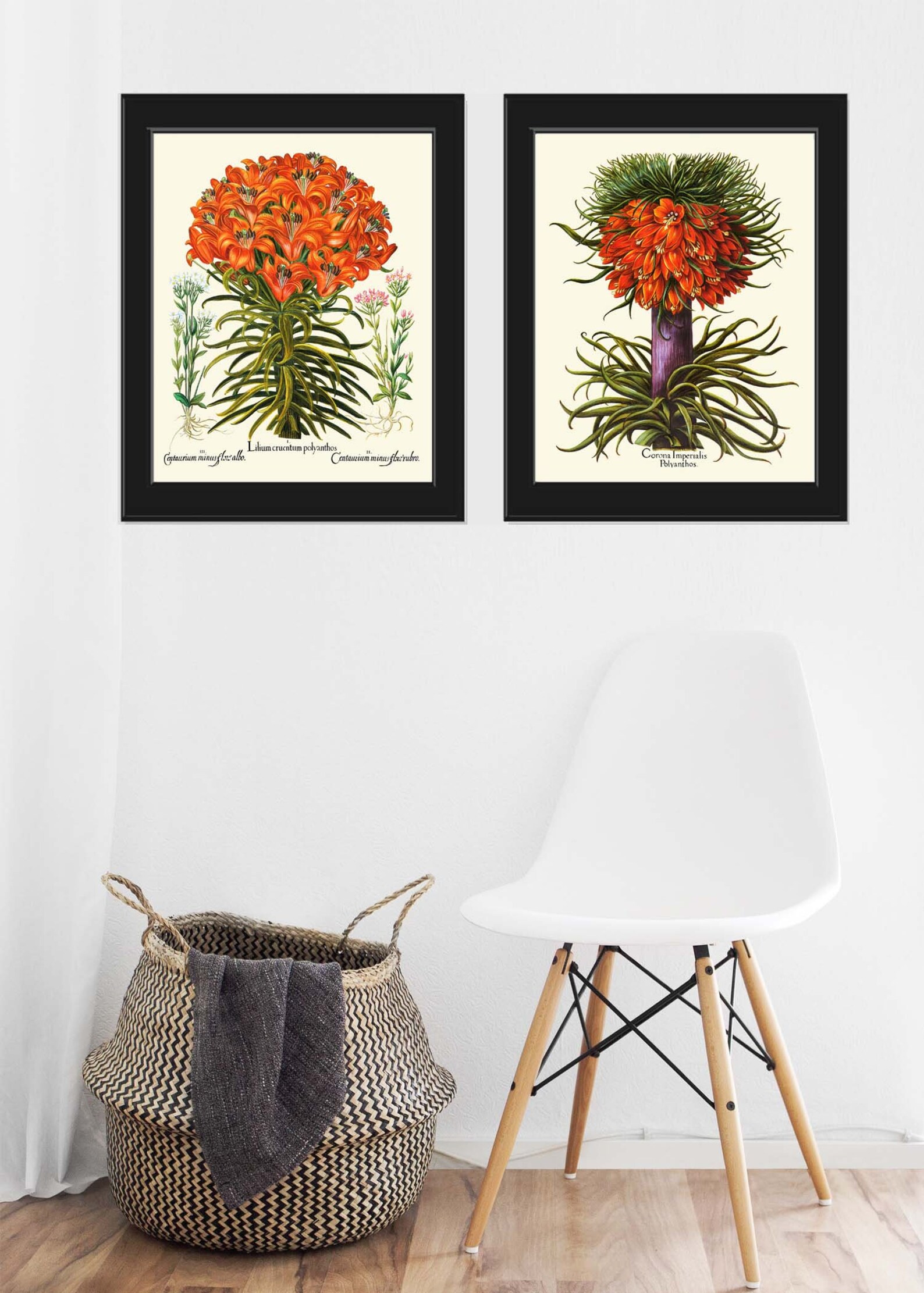 Orange Botanical Prints Wall Art Set of 2 Beautiful Antique - Etsy