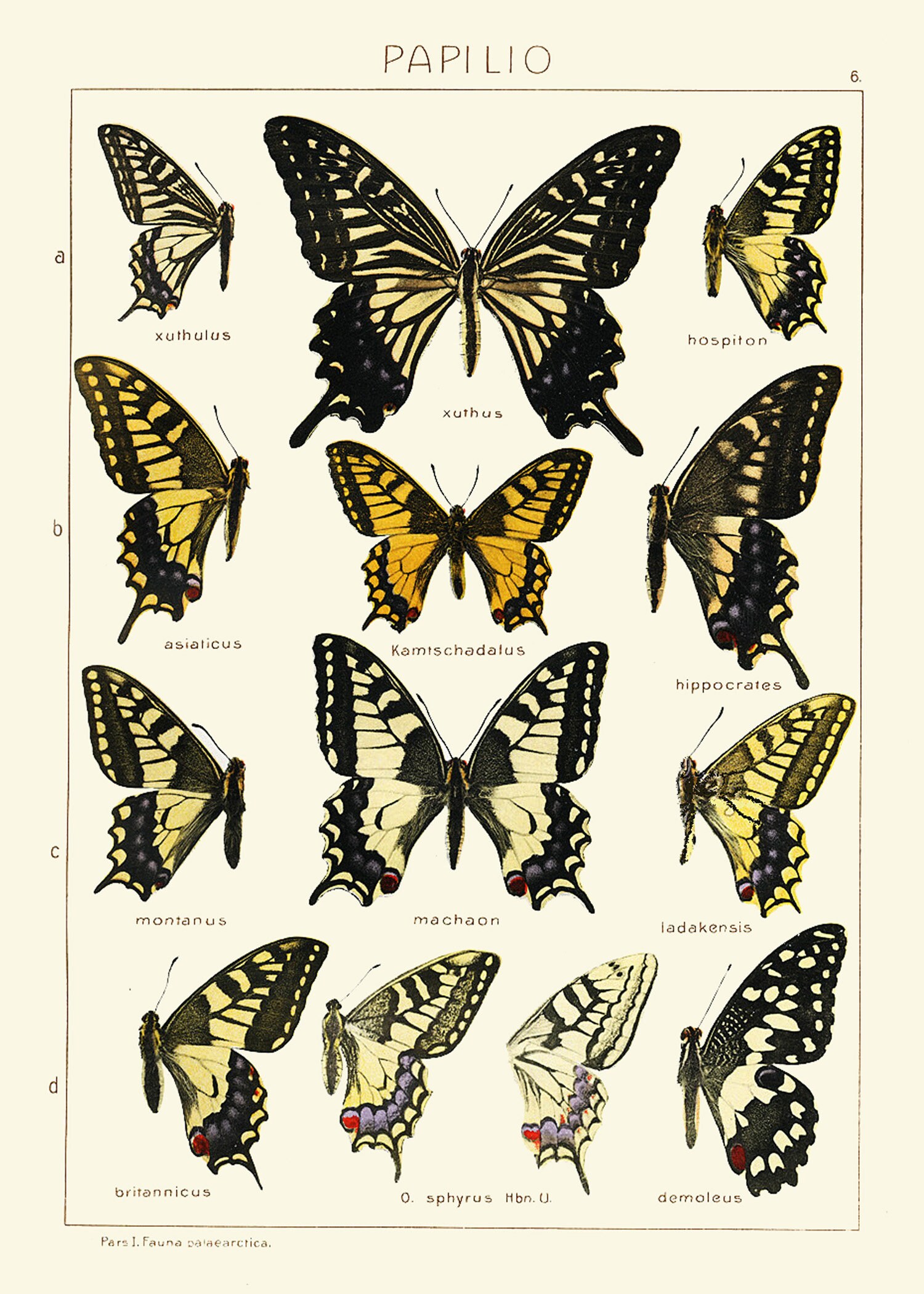 Vintage Butterfly Chart Wall Art Set of 6 Prints Beautiful Antique Blue ...