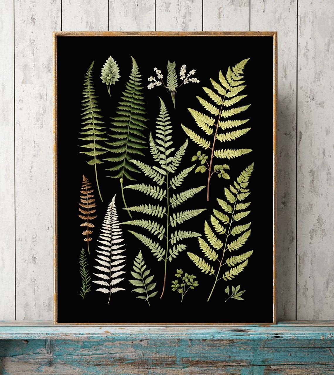 Black Background Fern Botanical Wall Art Set of 4 Print Beautiful ...