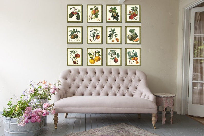 Vintage Colorful Fruit Wall Art Botanical Set of 12 Beautiful Antique ...