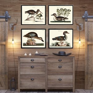Vintage Duck Bird Wall Art Print Set of 4 Beautiful Antique Lake House ...