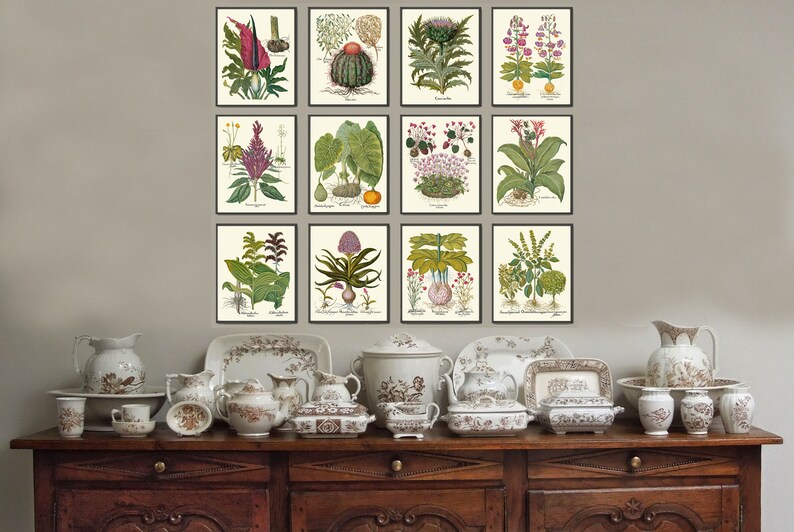 Botanical Decor Wall Art Set of 12 Prints Beautiful Vintage - Etsy