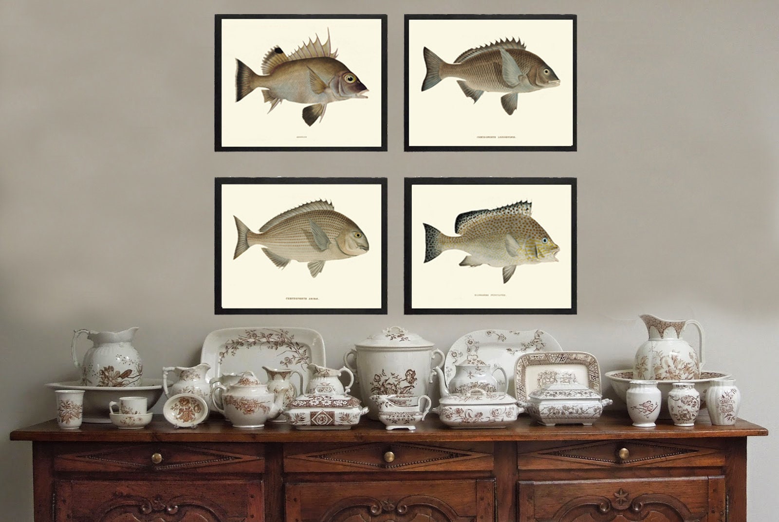 Vintage Fish Wall Art Set of 4 Prints Beautiful Antique Sea Ocean Beach ...