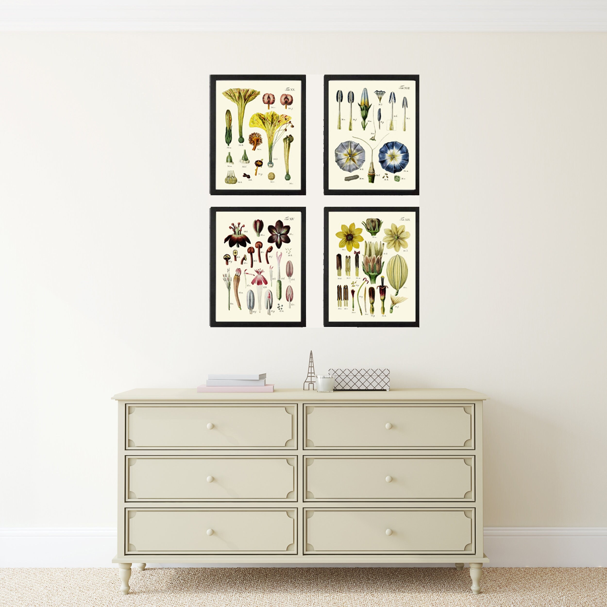 Vintage Botanical Flower Chart Print Set of 4 Wall Art - Etsy