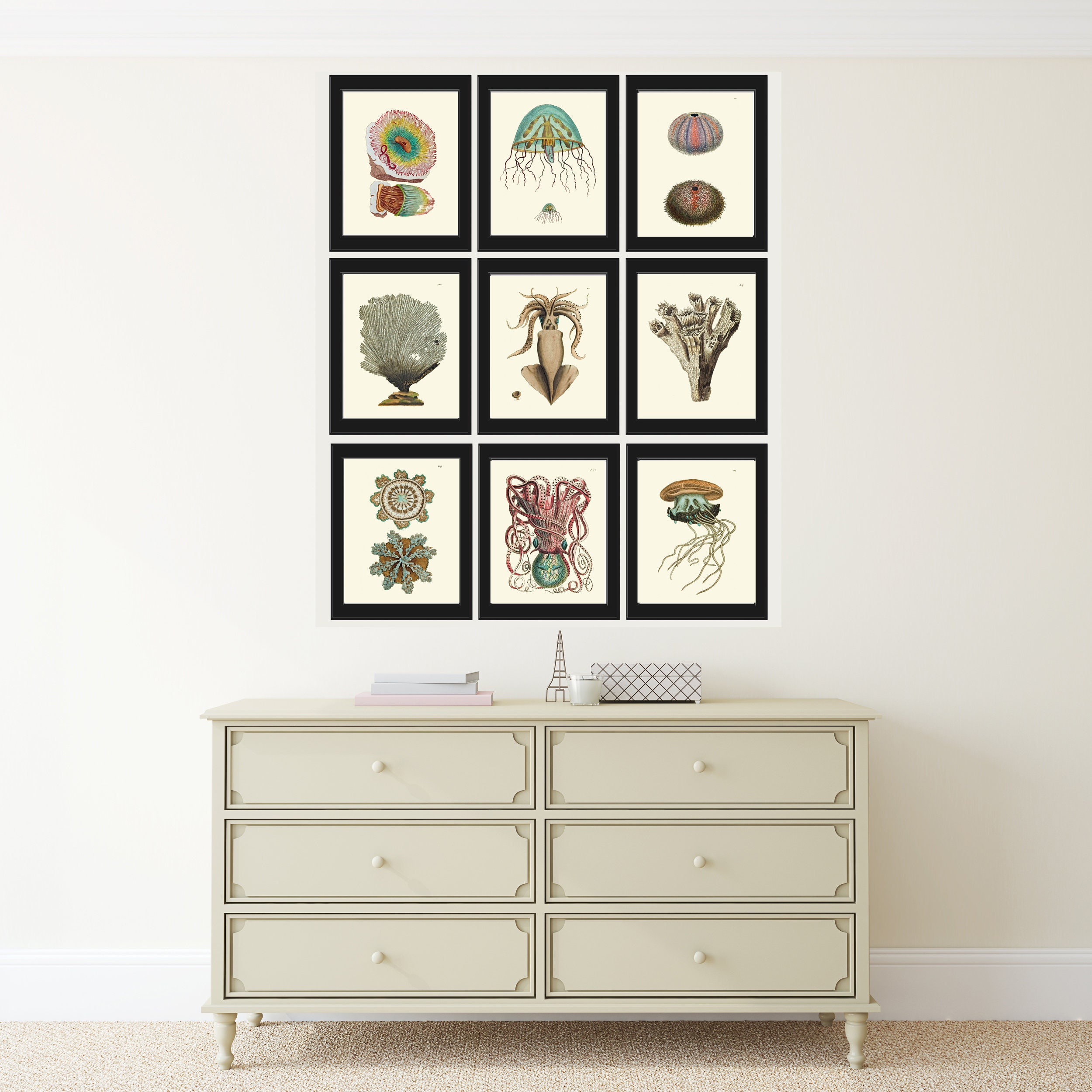 Corals Coral Prints Wall Decor Art Set of 9 Beautiful Antique - Etsy