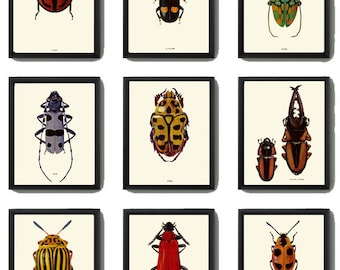 Paint Craft Supplies & Tools Bug themed photo frame etna.com.pe