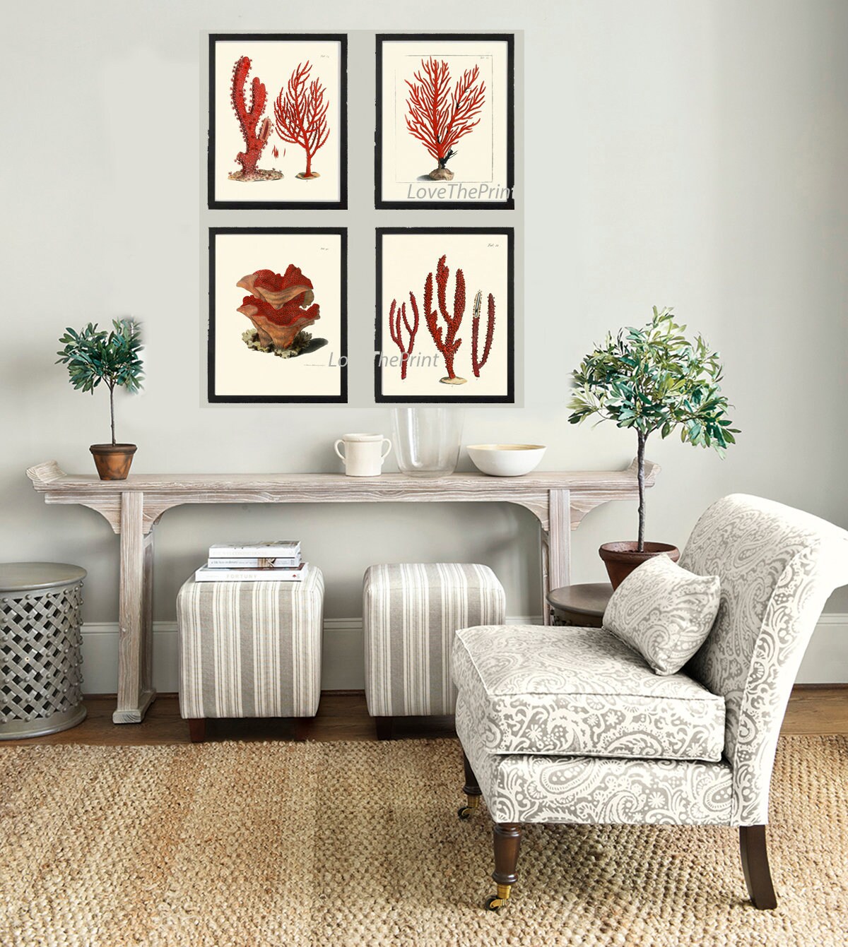 Red Coral Prints Wall Art Set of 4 Beautiful Antique Vintage - Etsy