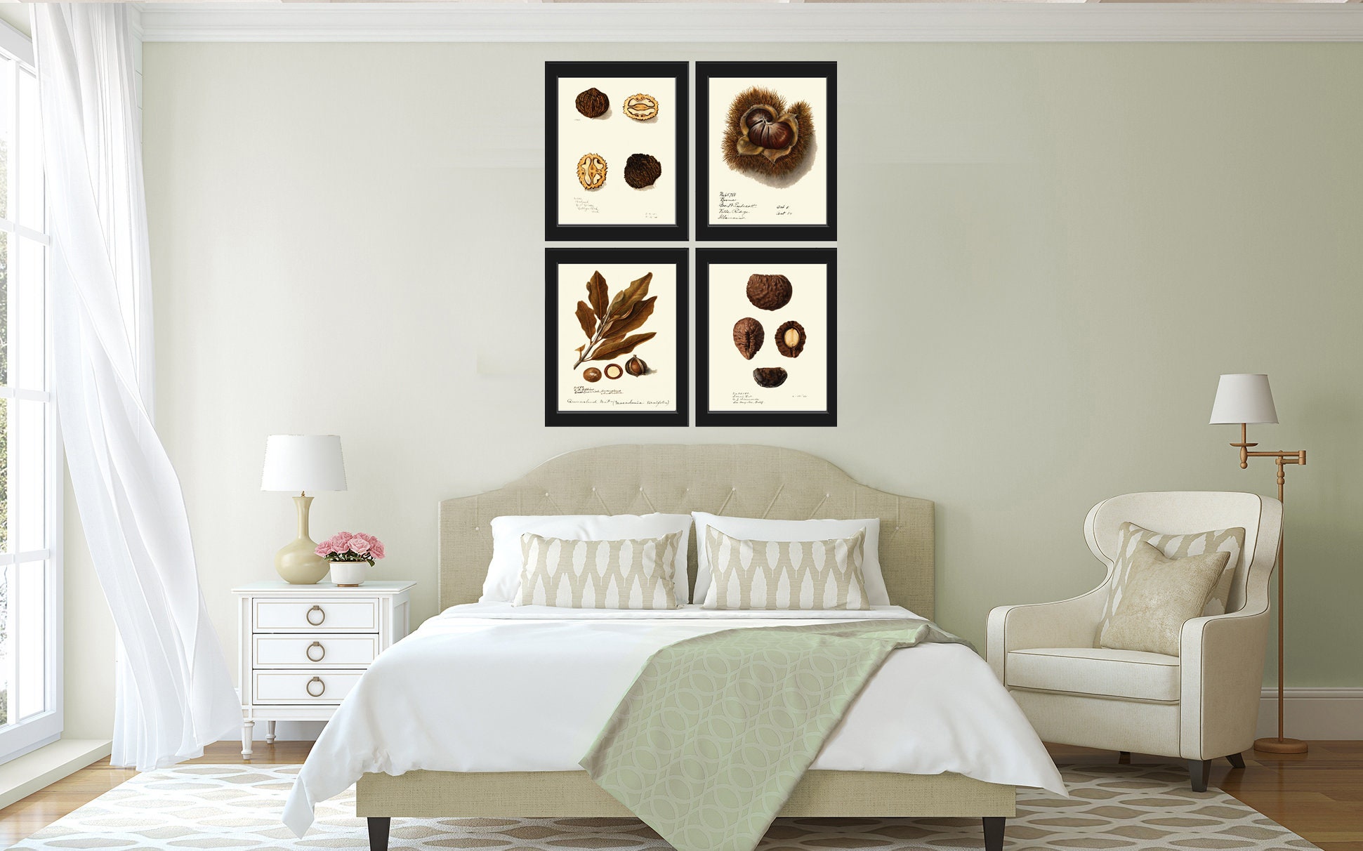 Nuts Kitchen Dining Room Wall Art Prints Set of 4 Beautiful Antique ...