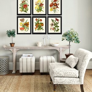 Botanical Prints Wall Decor Art Set of 6 Beautiful Vintage Antique ...