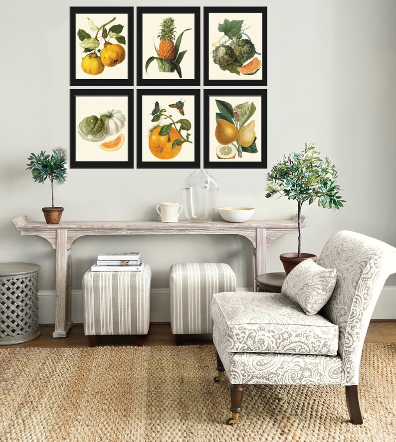 Fruit Wall Decor Prints Art Set 6 Beautiful Botanical Colorful Tropical ...