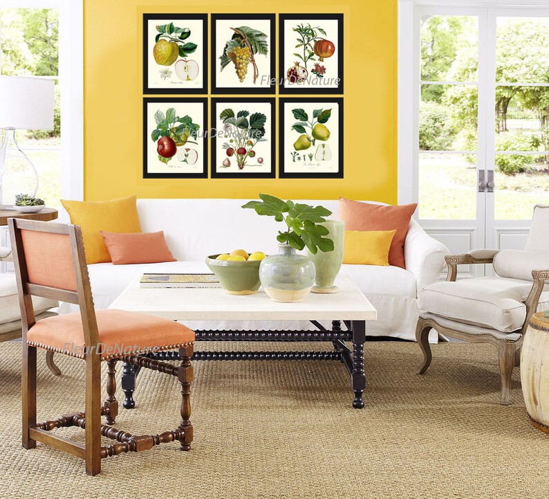 Fruit Prints Wall Art Set of 6 Beautiful Botanical Vintage Apple Grapes ...