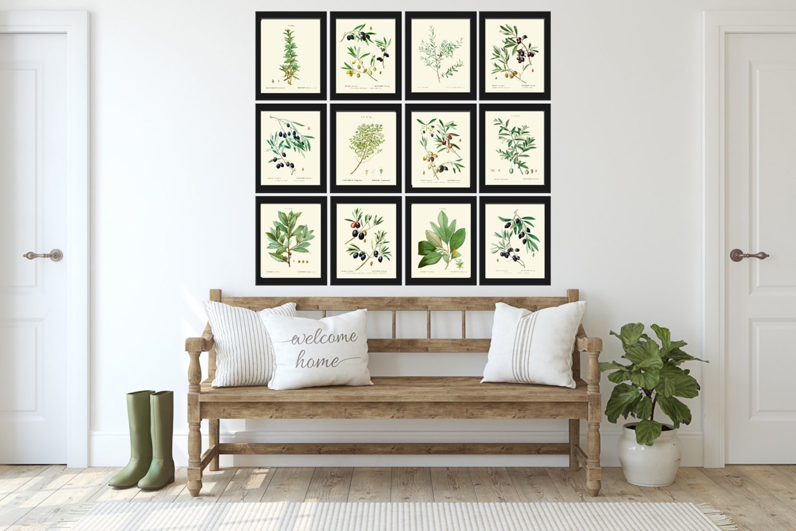 Herbs Botanical Wall Art Set of 12 Prints Beautiful Antique - Etsy