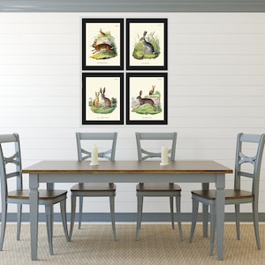 Bunny Wall Art Print Set of 4 Beautiful Antique Vintage Rabbit Farm ...