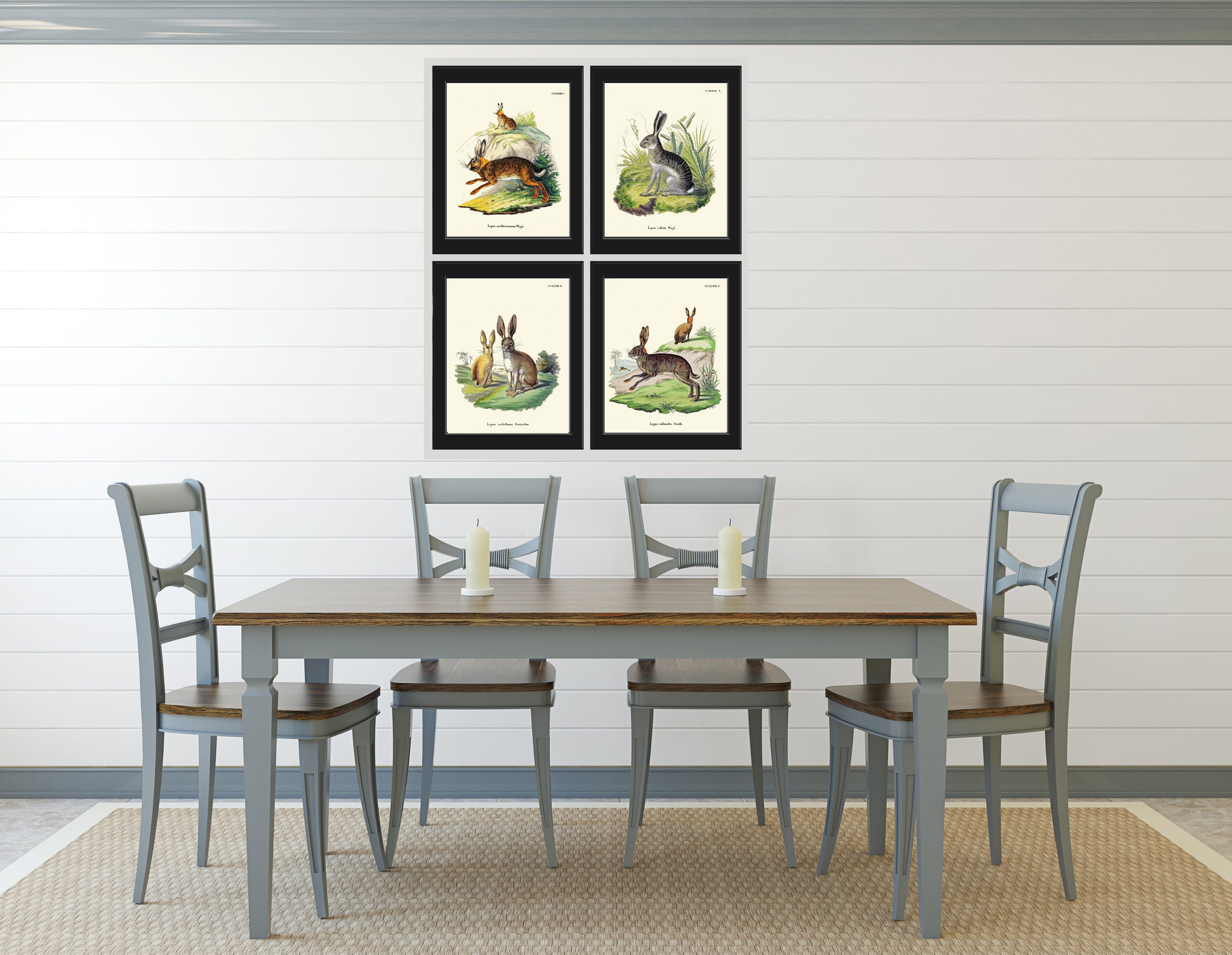 Bunny Wall Art Print Set of 4 Beautiful Antique Vintage Rabbit Farm ...
