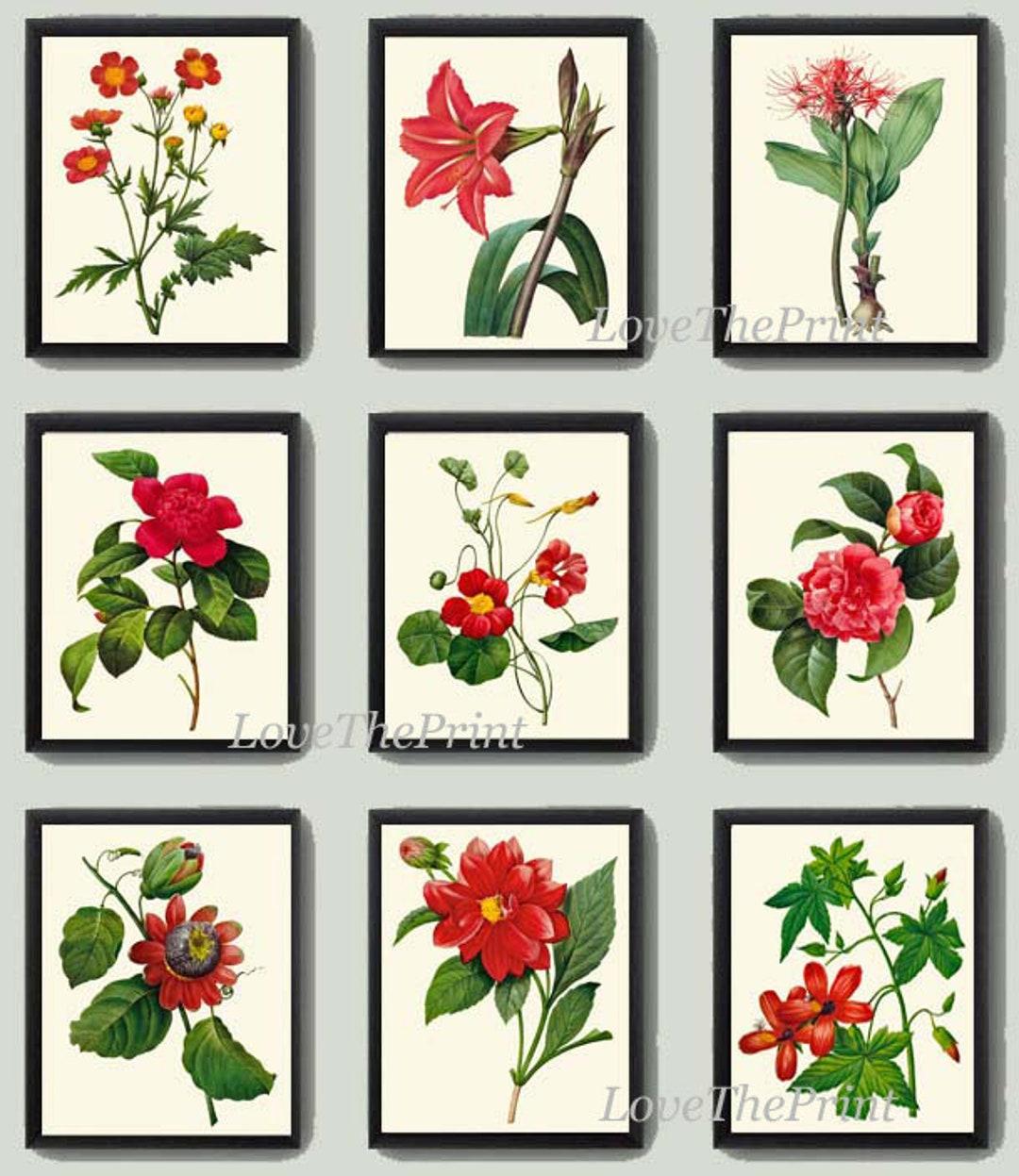 Red Flowers Botanical Wall Art Set of 9 Prints Beautiful Antique ...
