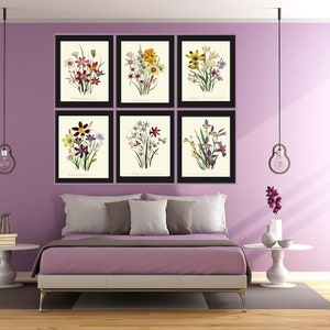 Botanical Prints Wall Decor Art Set of 6 Beautiful Vintage Antique ...