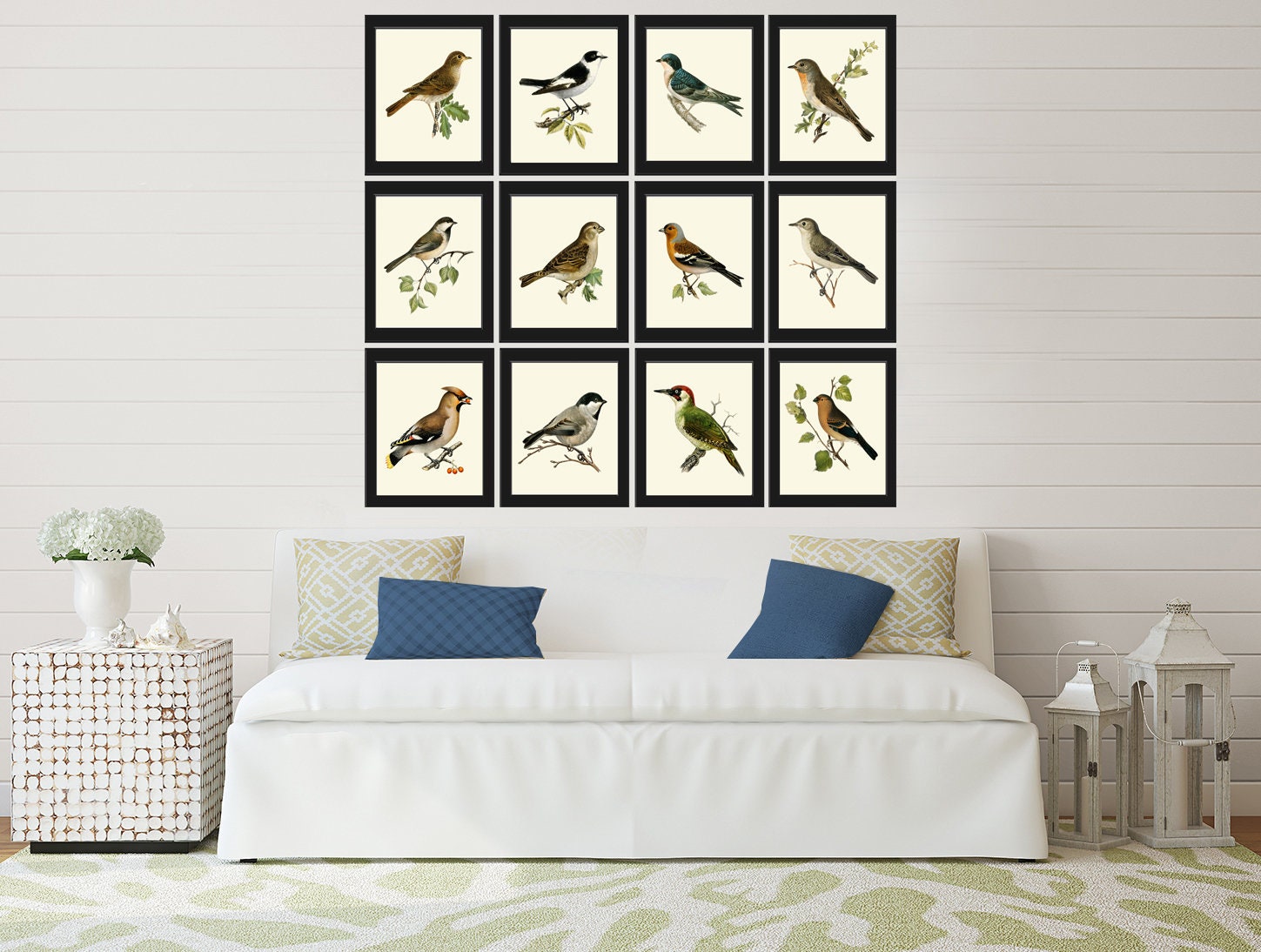 Bird Wall Art Set of 12 Prints Beautiful Antique Vintage Songbirds Bird ...