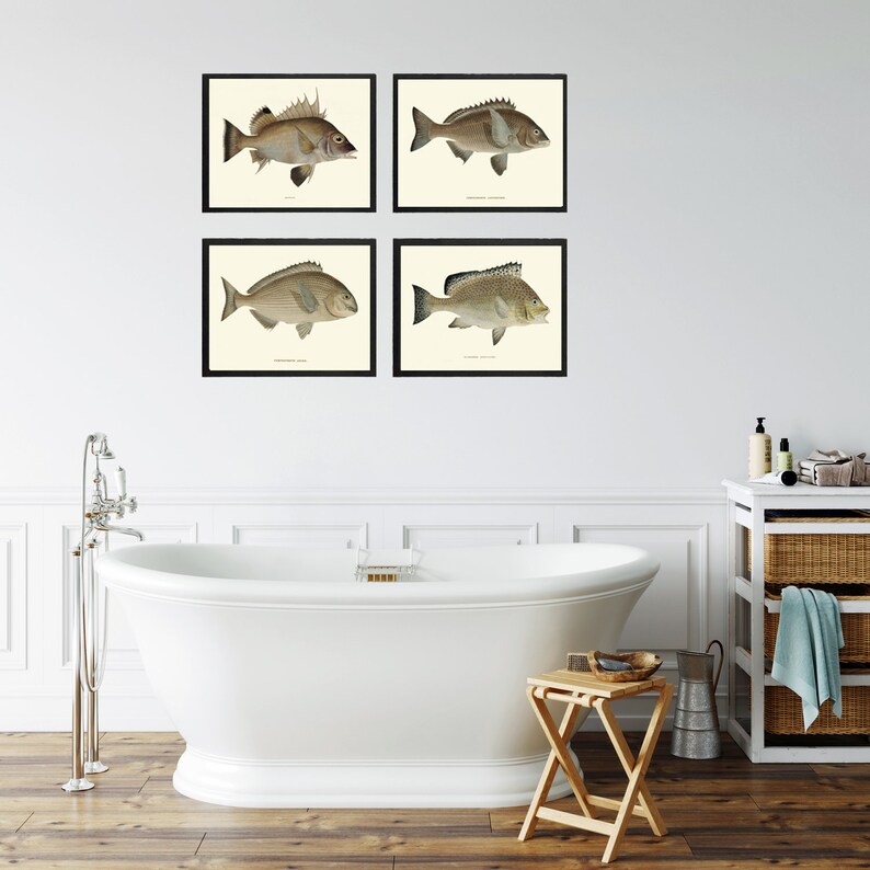 Vintage Fish Wall Art Set of 4 Prints Beautiful Antique Sea Ocean Beach ...