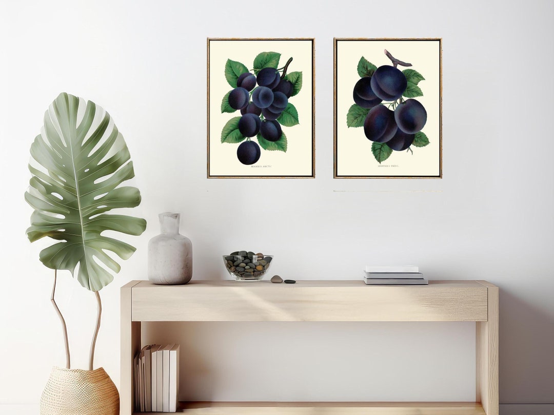Vintage Plum Fruit Wall Art Print Set of 2 Home Decor Beautiful Blue ...
