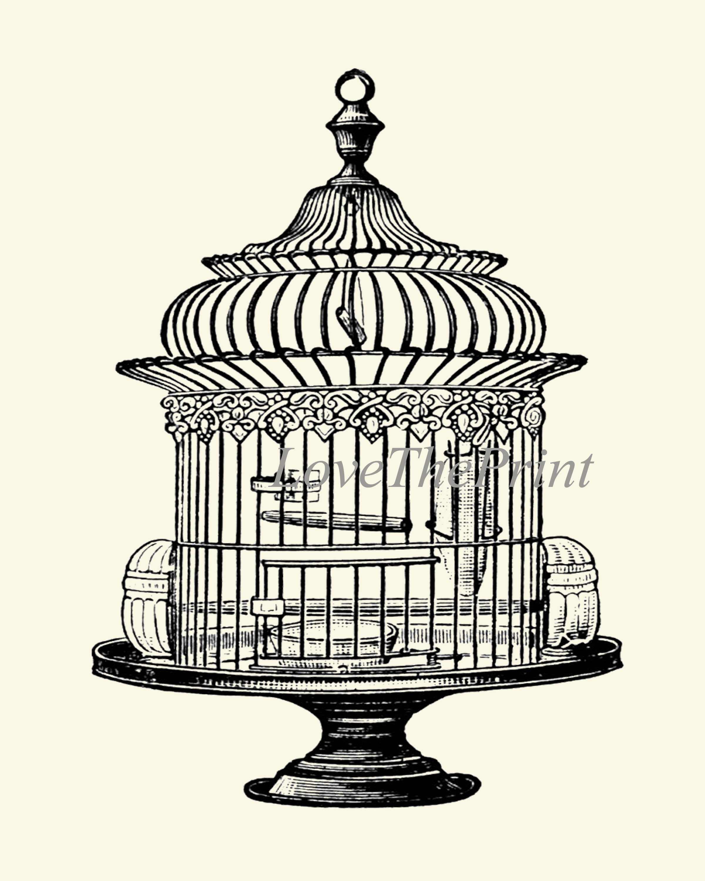 Vintage Antique Bird Cage Wall Art Set of 3 Prints Beautiful Black and ...