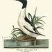Vintage Bird Prints Wall Art Set of 12 Beautiful Antique Vintage ...