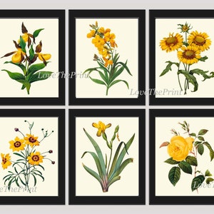 Vintage Botanical Wall Art Set of 6 Prints Beautiful Antique Yellow ...